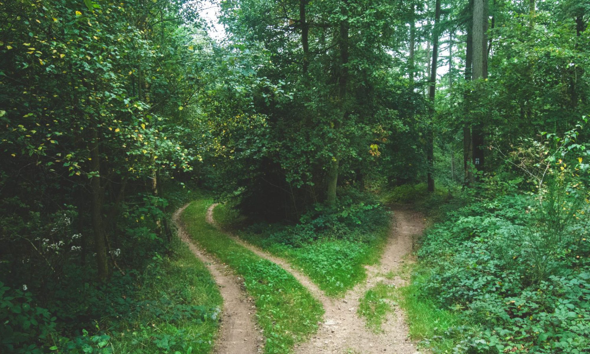 Verschiedene richtige Wege – Ibn Rushd – Goethe Moschee